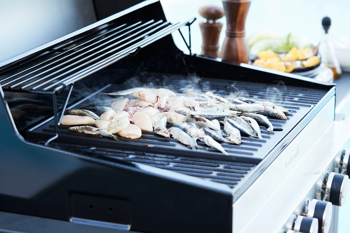 Gas BBQ – Barbecook